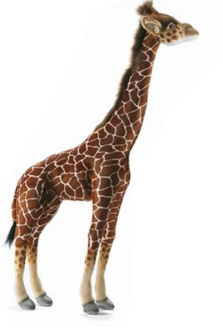 Ride-On 3 foot Giraffe - Homekin